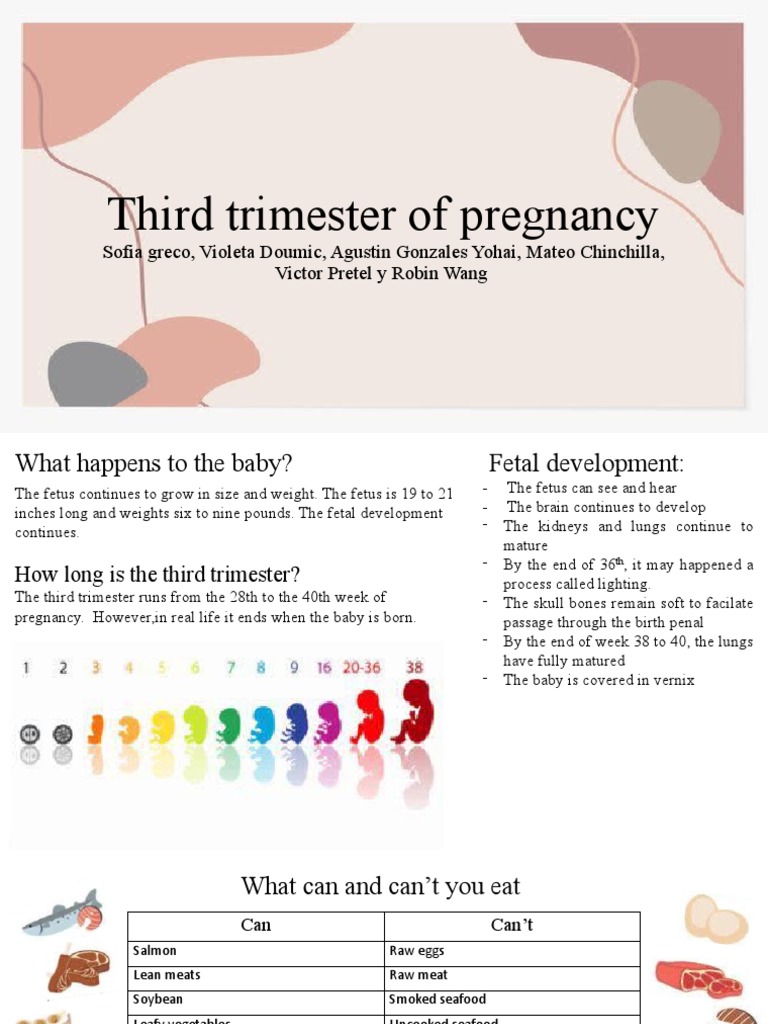 Third Trimester Pregnancy Guide | PDF