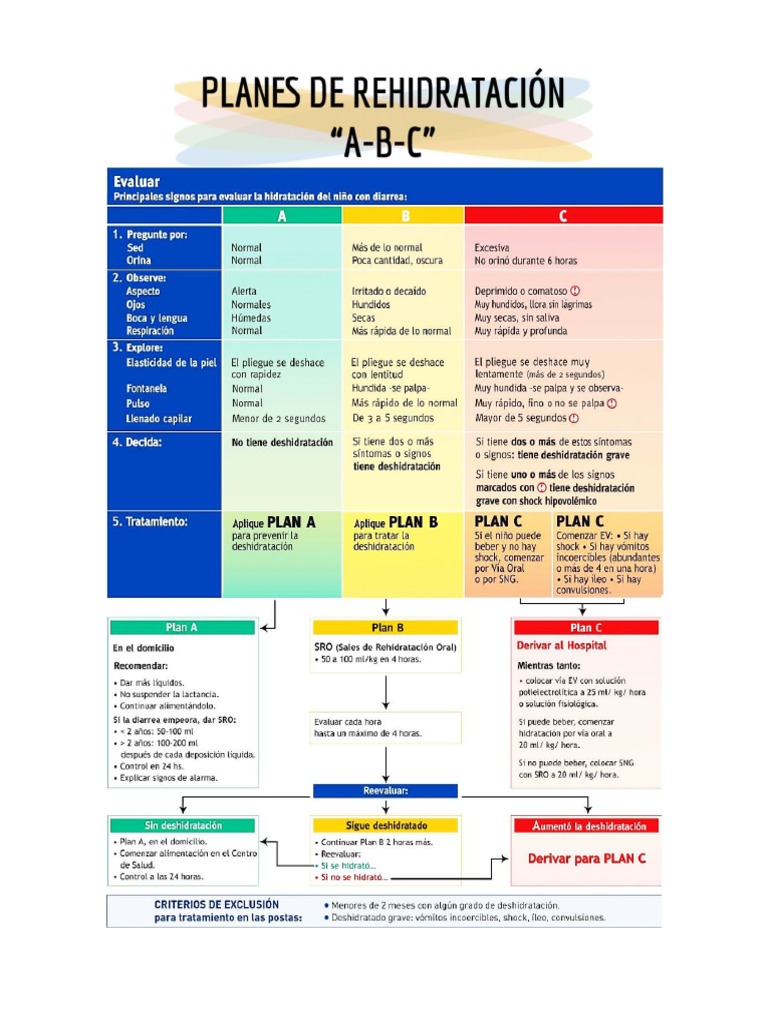 Plan de Rehidratacion | PDF