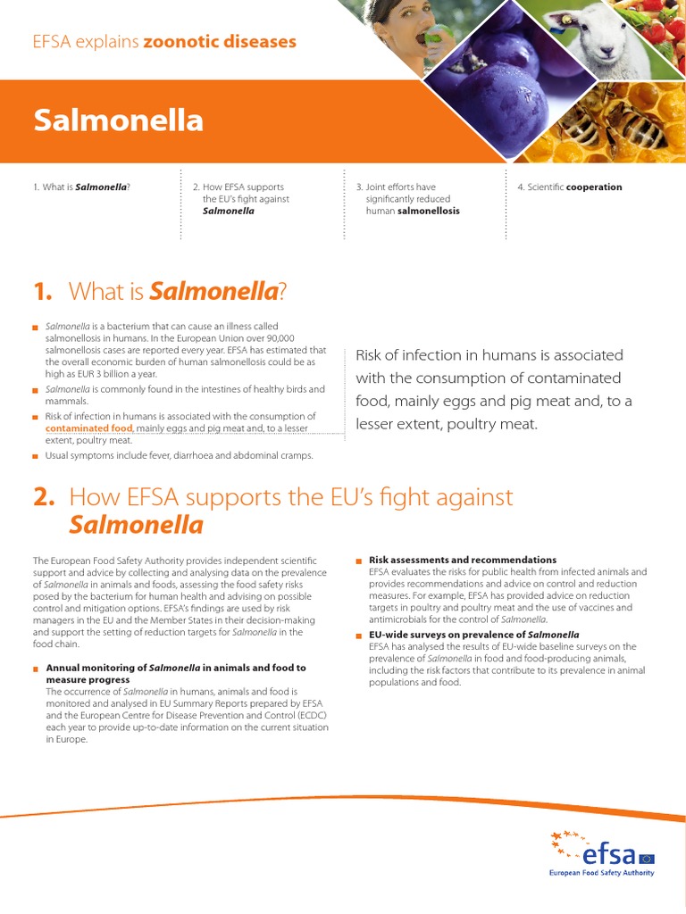 Fact Sheet Salmonella | PDF