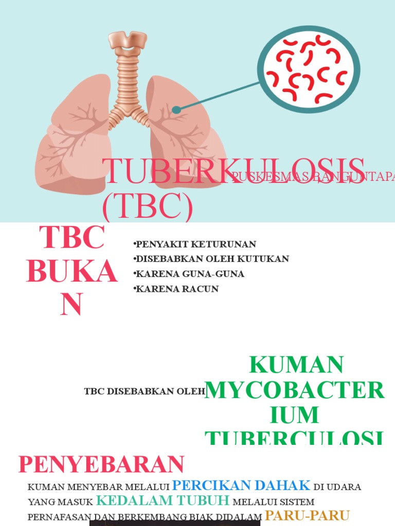 Penyuluhan TBC | PDF | Kesehatan Holistik