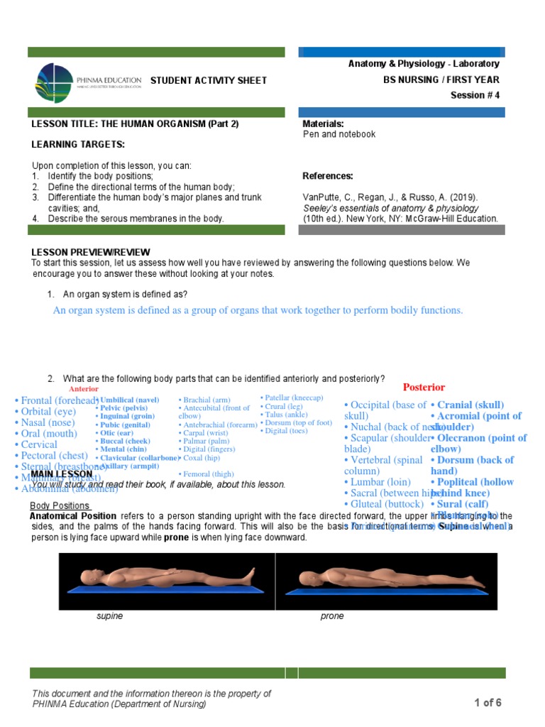 Sas 4 Anaphy | PDF | Anatomical Terms Of Location | Human Anatomy
