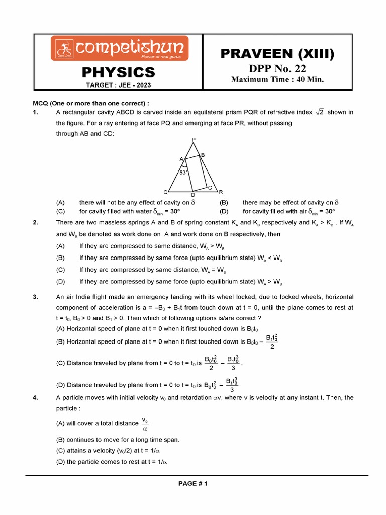DPP No. 22 - PC | PDF
