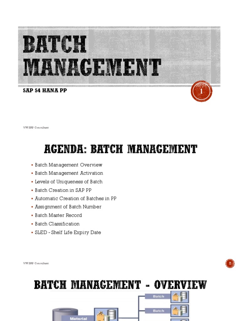 SAP Batch Management Overview | PDF | Shelf Life | Business