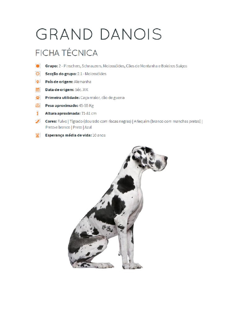 História e Características do Grand Danois | PDF | Cães | Criação de ...