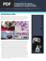 Cistocentesis | PDF | Vejiga urinaria | Ciencias de la Salud