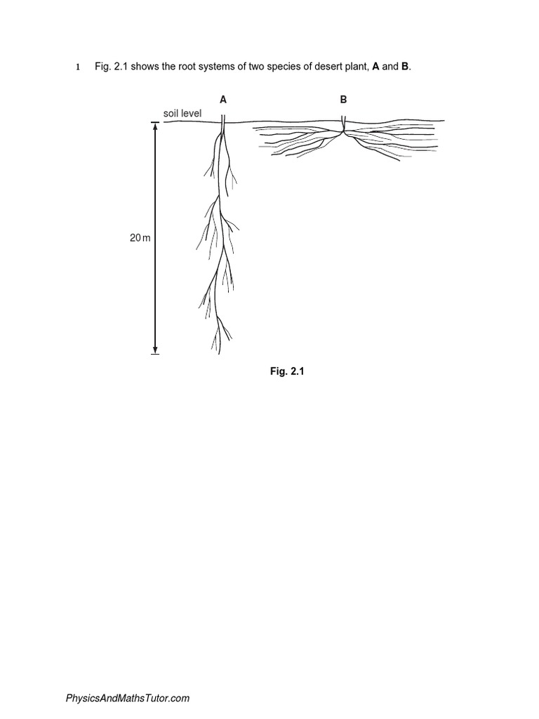 Inheritance 5 QP | PDF