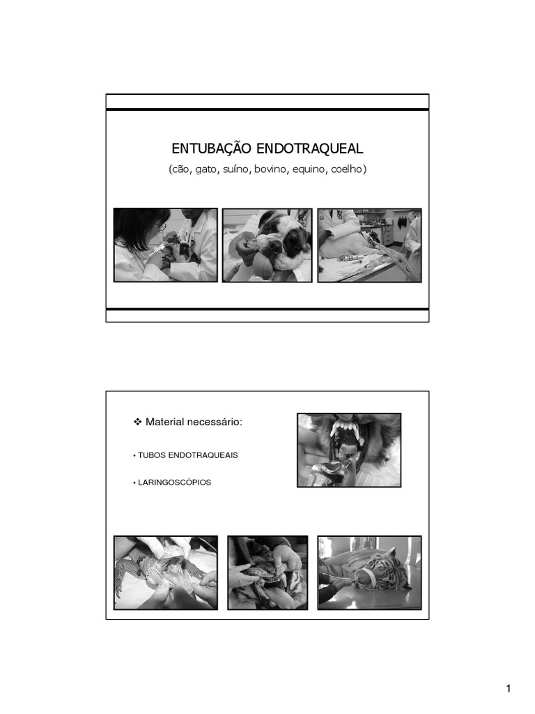 7 - Entubação Endotraqueal | PDF | Laringe | Anatomia