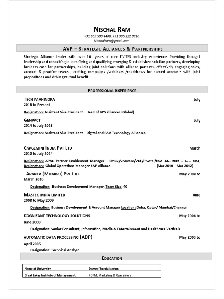 Nischal Ram - Brief Profile | PDF | Computing | Business