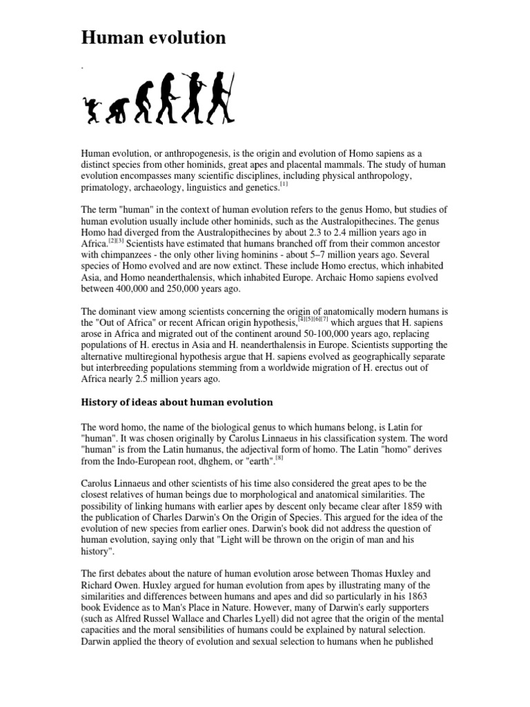 Human Evolution | PDF | Homo | Homo Sapiens