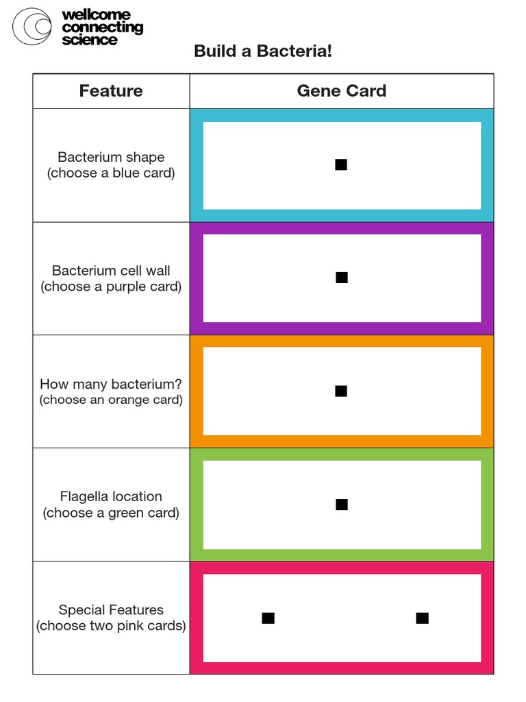 Build a Bacteria Game Guide | PDF