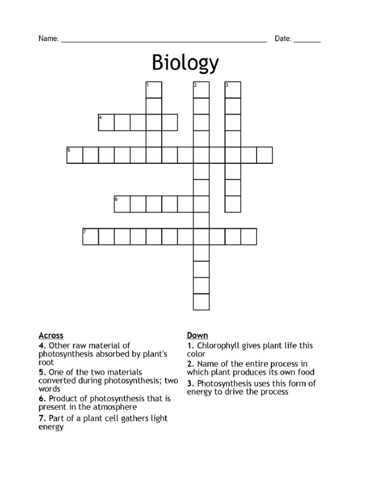 Photosynthesis puzzle | PDF