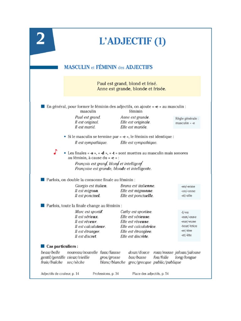 Masculin Et Féminin Des Adjectifs | PDF