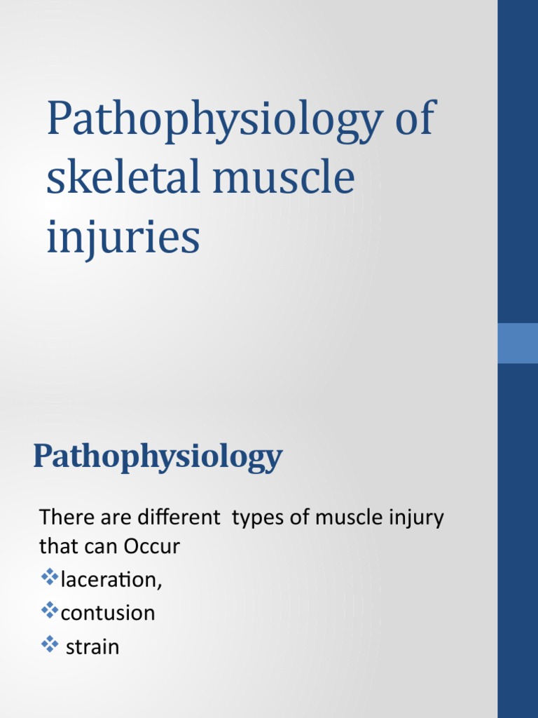 Pathophysiology of Skeletal Muscle Injuries | PDF