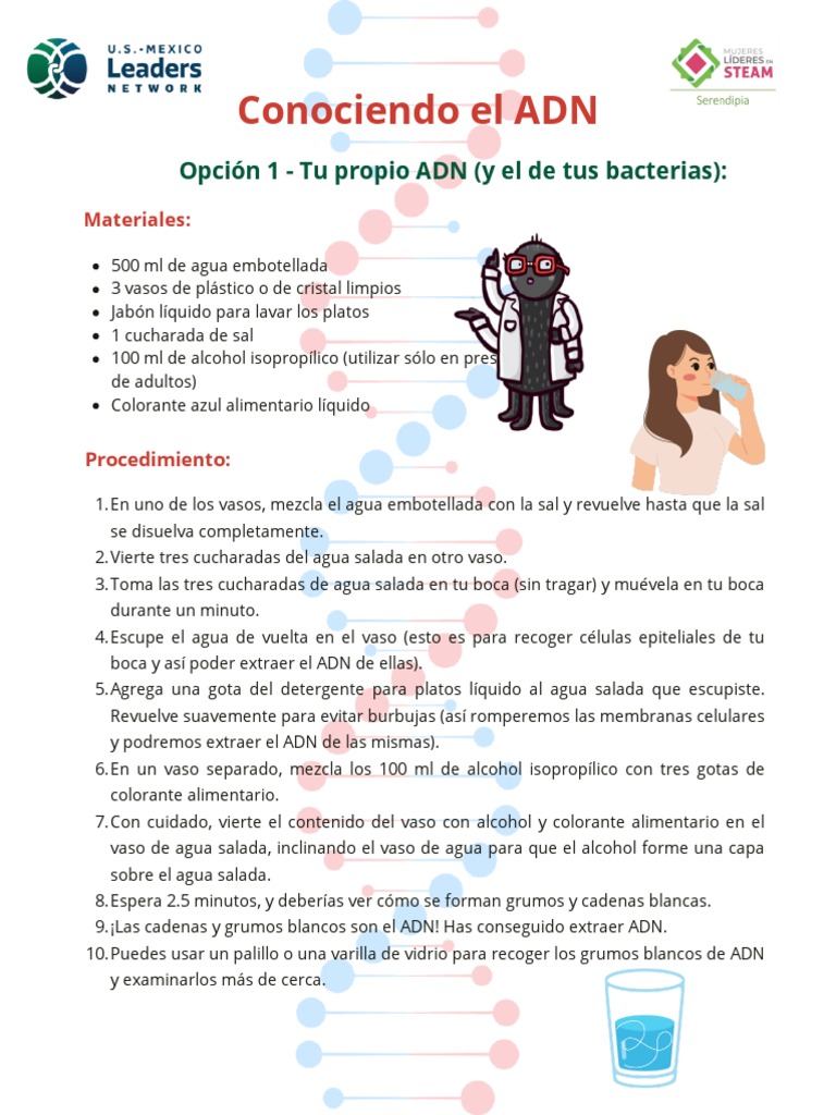 Conociendo El ADN | PDF | Organismos | Adn
