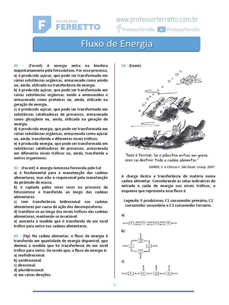 Questões Fluxo de Energia | PDF