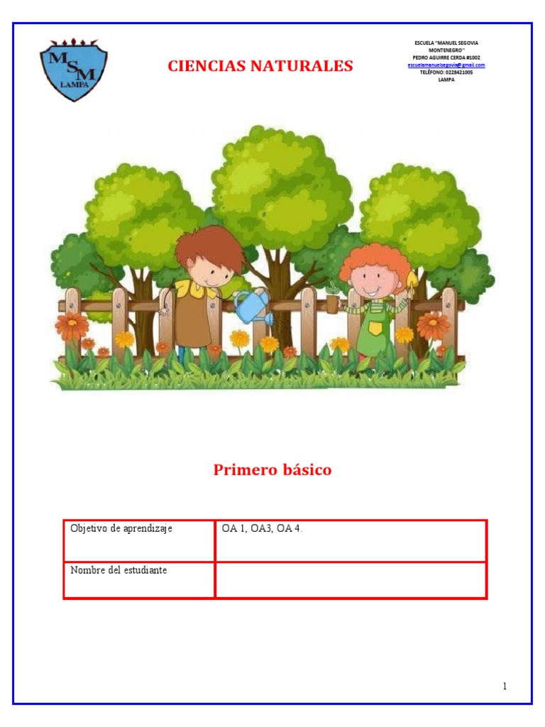 Guia de Ciencias Primero Basico | PDF