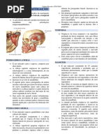 Anatomia da Cavidade Oral e Estruturas | PDF | Língua | Boca