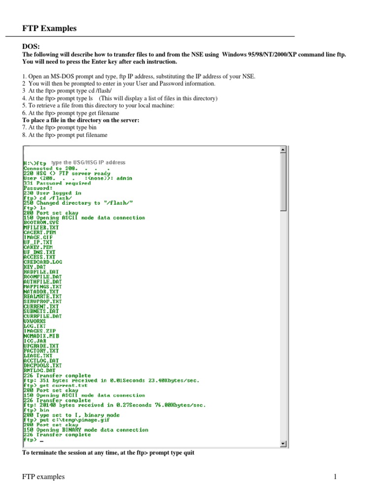 FTP Files To The Flash Directory of The NSE | PDF | Computers