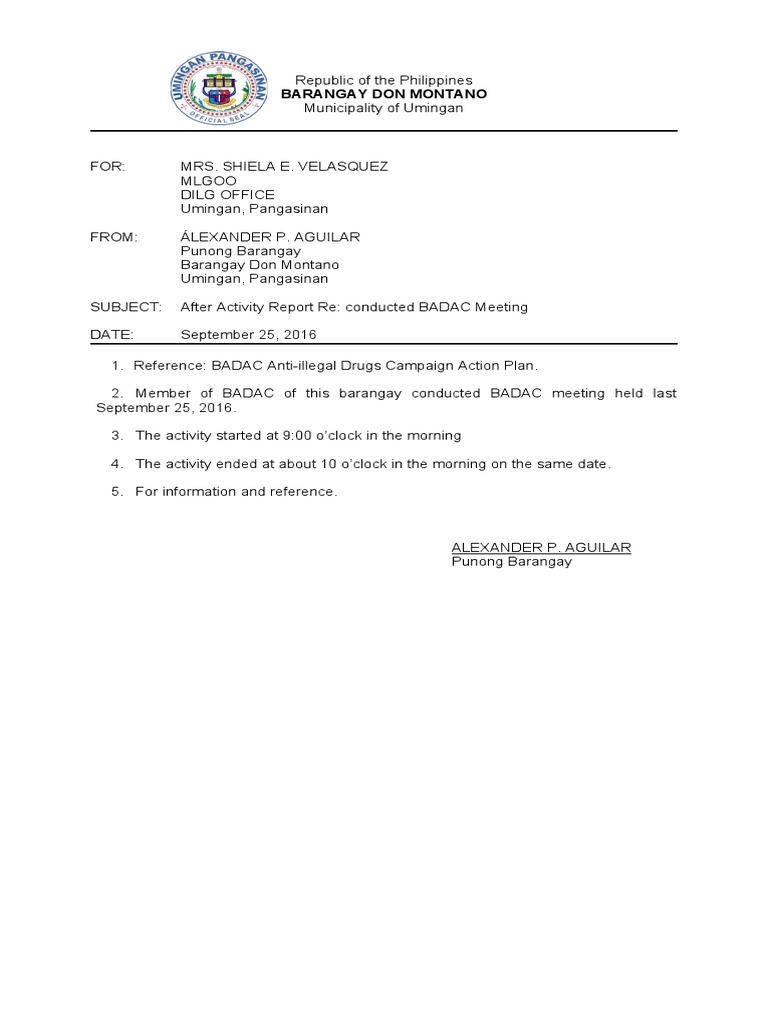 Badac Meeting Template 1 | PDF