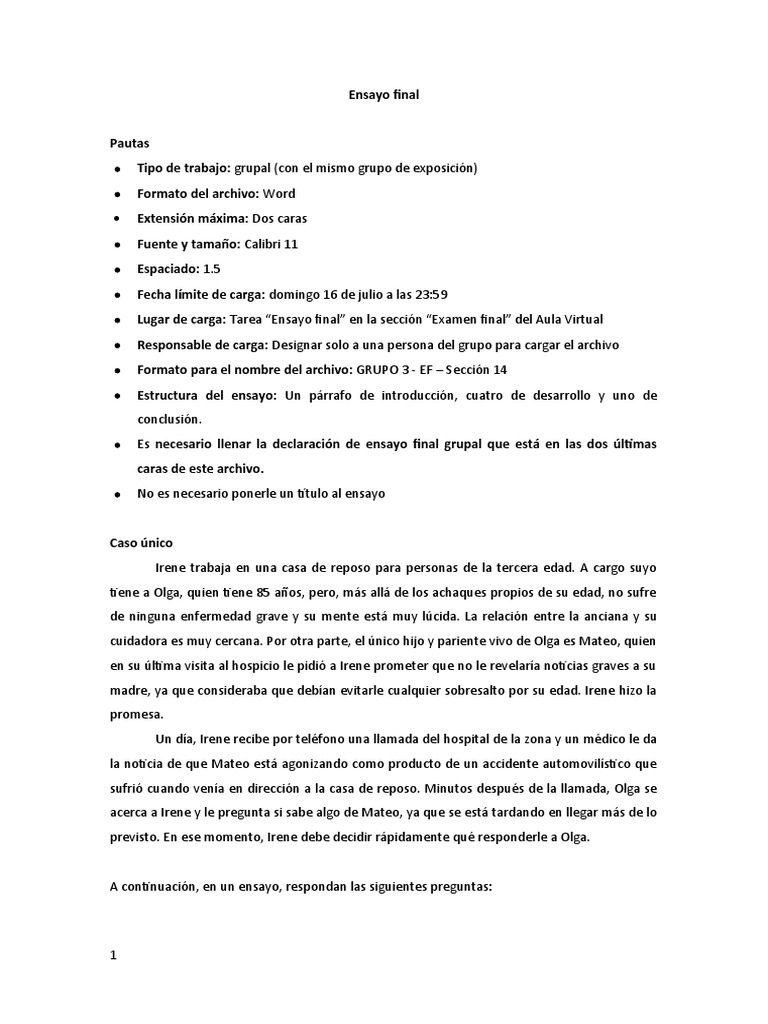 Ensayo Final - Indicaciones - Sección 14 | PDF