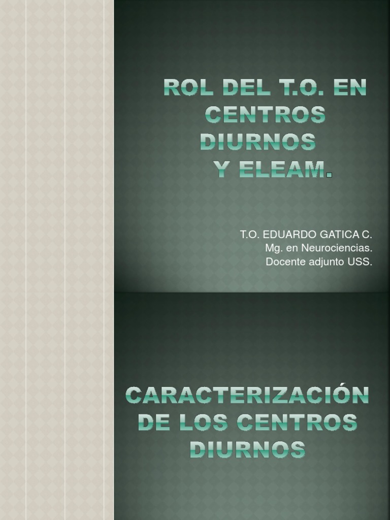 Rol Del T.O. en C. Diurnos y ELEAM | PDF | Vejez | Gerontología