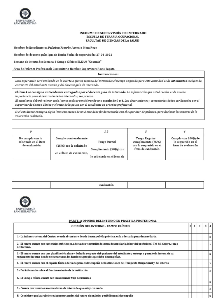 Pauta Supervision de Internado 2 | PDF