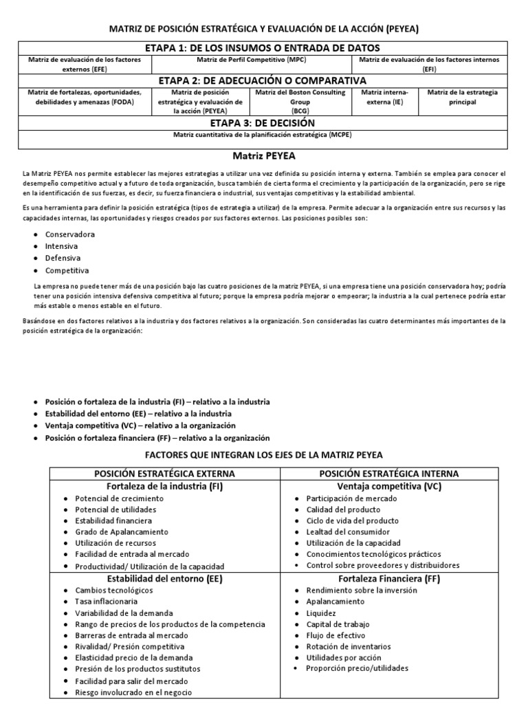 Matriz Peyea | PDF | Negocios económicos | Business