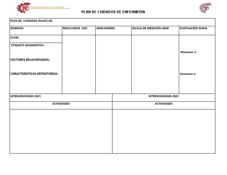 Formato de Plan de Cuidados de Enfermeria | PDF