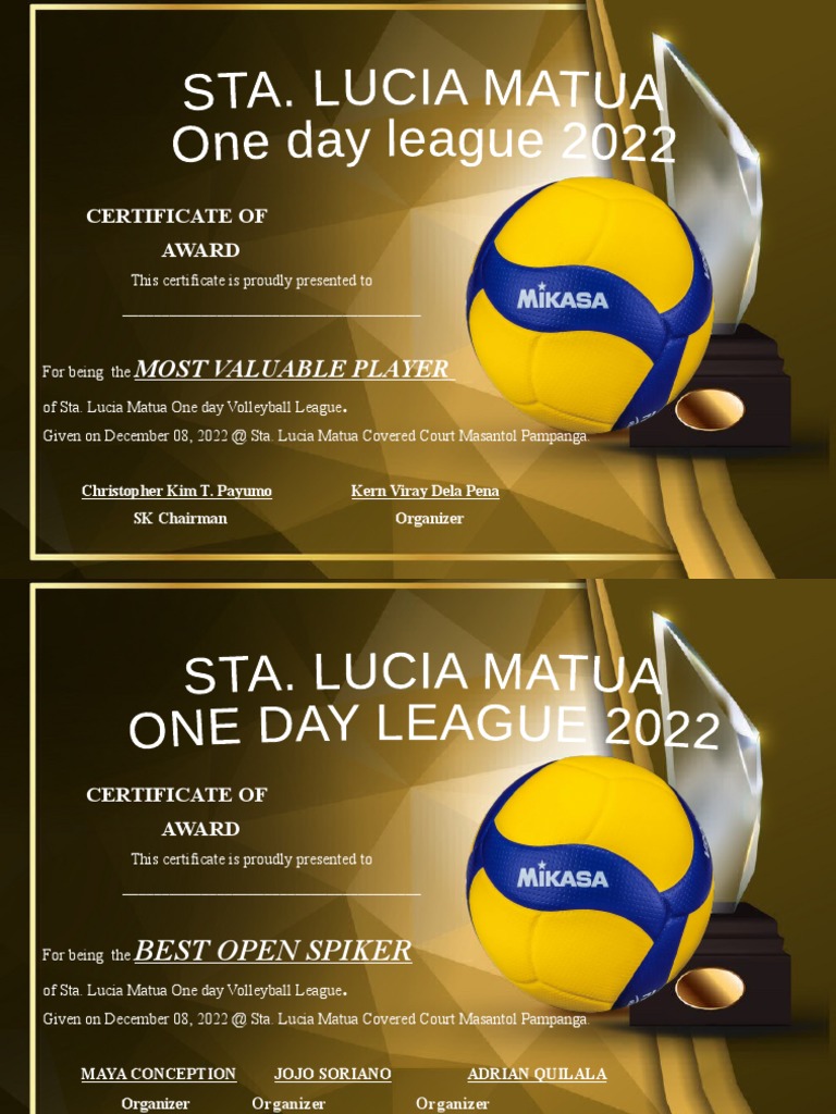 Certicate of Awards | PDF | Volleyball | Ball Games