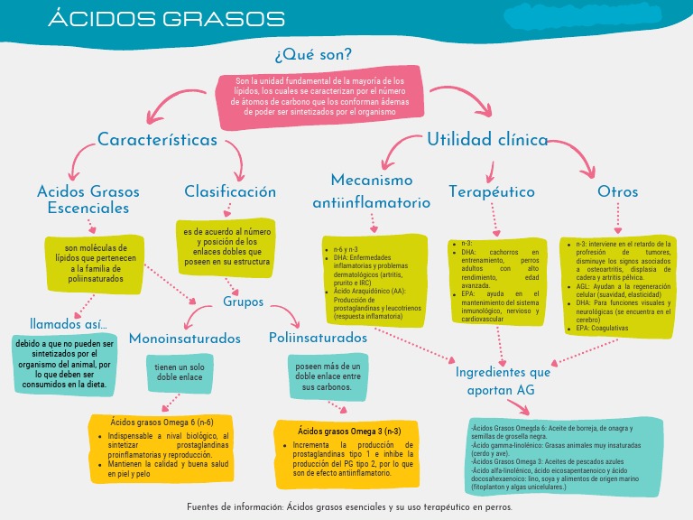 Mapa Conceptual ÁCIDOS GRASOS | PDF