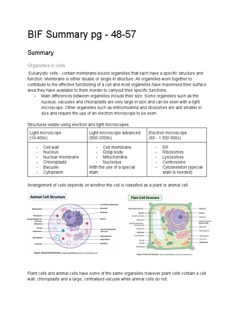 BIF Summary PG - 48-57: Organelles in Cells | PDF
