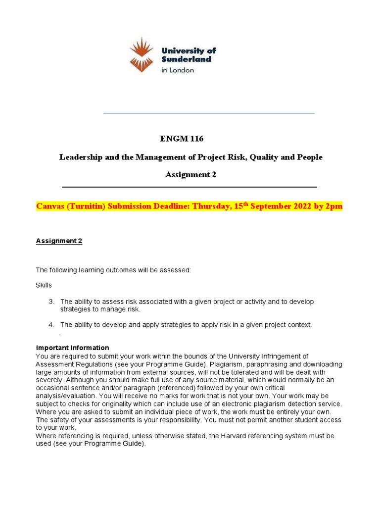 ENGM116 Assignment 2-1 | PDF | Citation | Risk