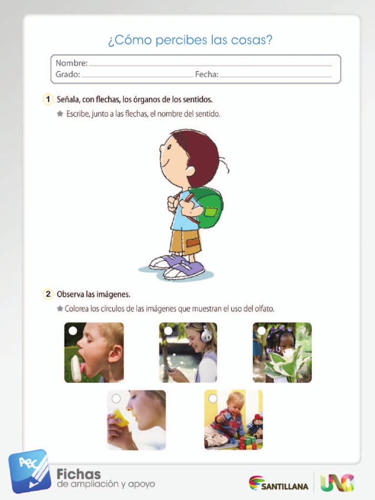 Como Percibes Cosas 1 | PDF