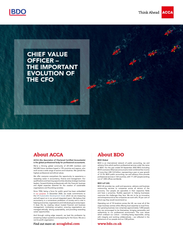 PI-CHIEF-VALUE-OFFICER v6 | PDF | Chief Financial Officer | Sustainability