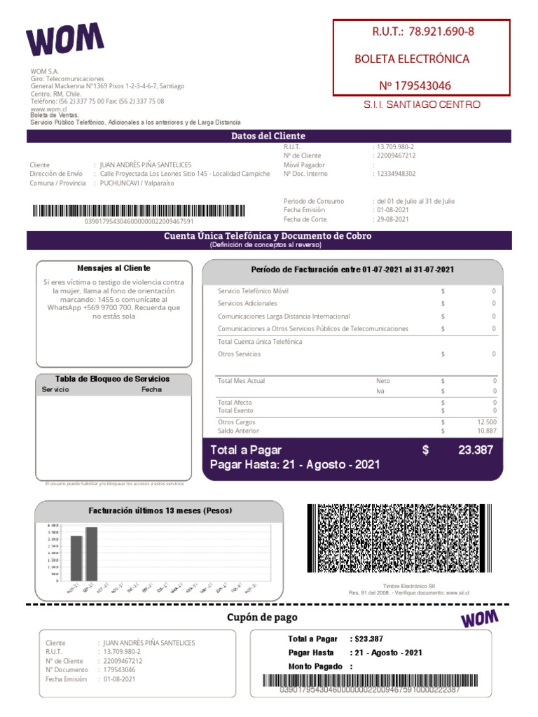WOM1 | PDF | Tecnología de información y comunicaciones | Informática