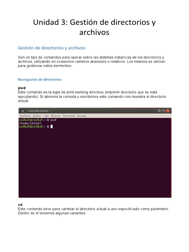 Unidad 3 Gestion de Directorios y Archivos | PDF | Archivo de ...