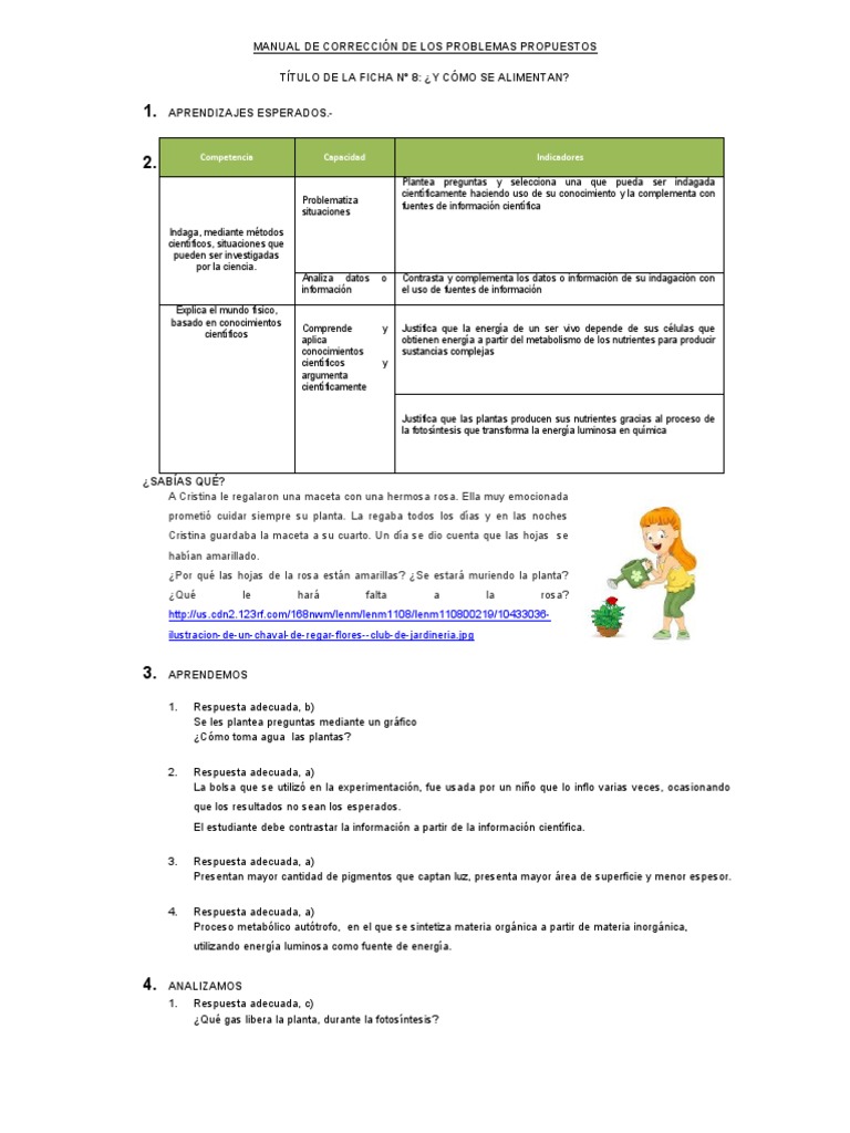 RP-CTA2-K08 - Manual de Correción Ficha #8 | PDF | Hogar, jardinería y bricolaje | Salud y bienestar