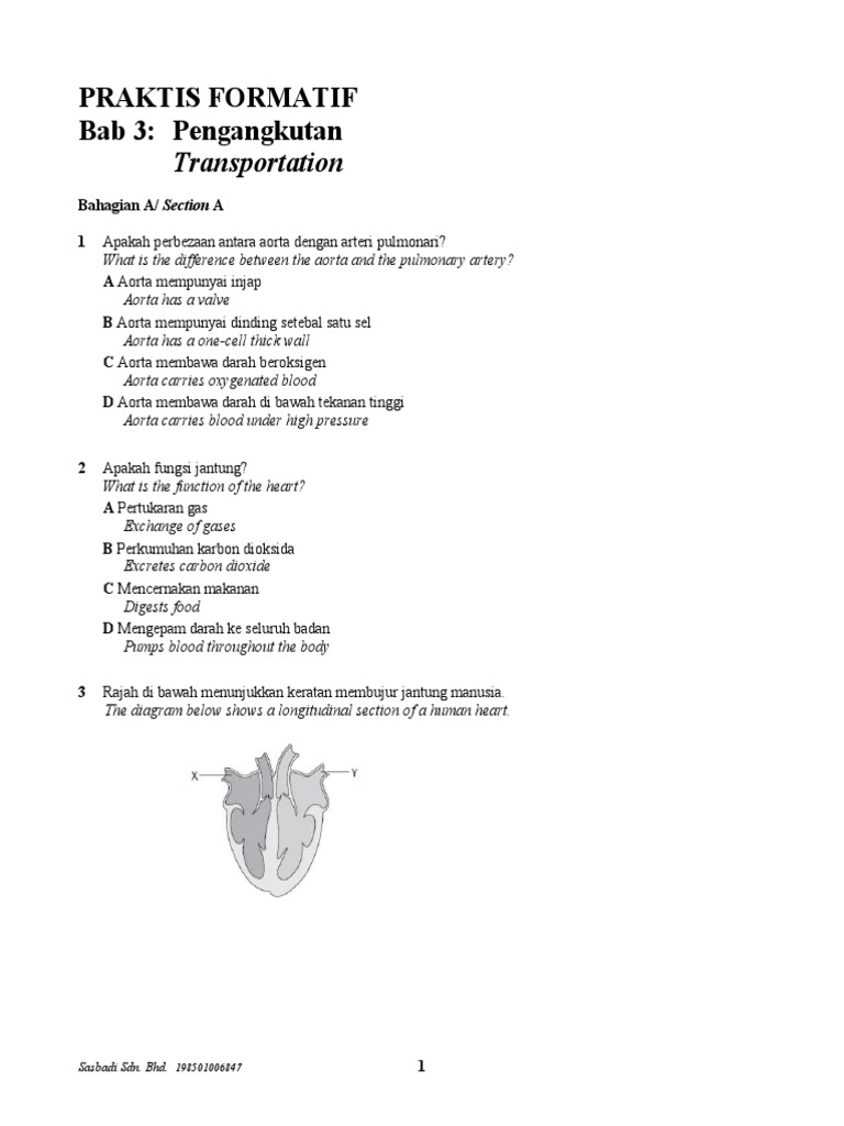 Praktis Formatif 3 | PDF