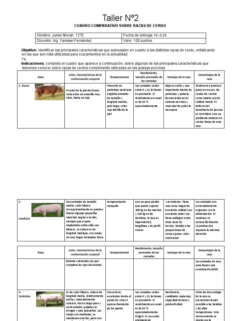 Trabajo 2 Junier | PDF | Carne | Cerdo
