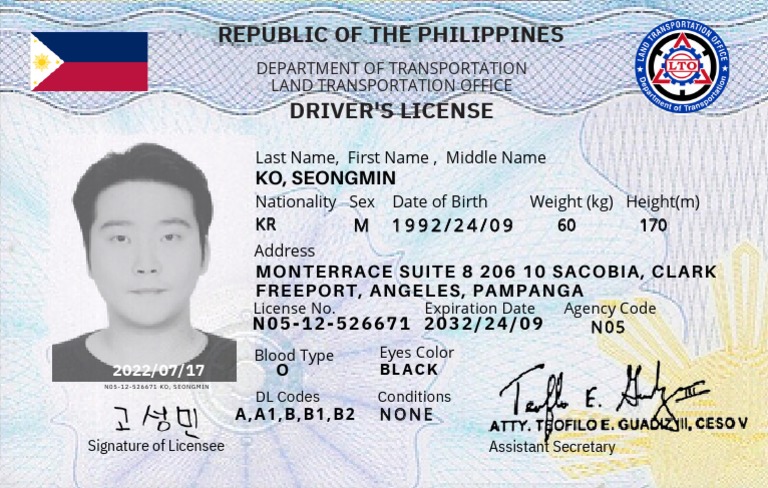 Philippines Driver's License 2025 Details | PDF