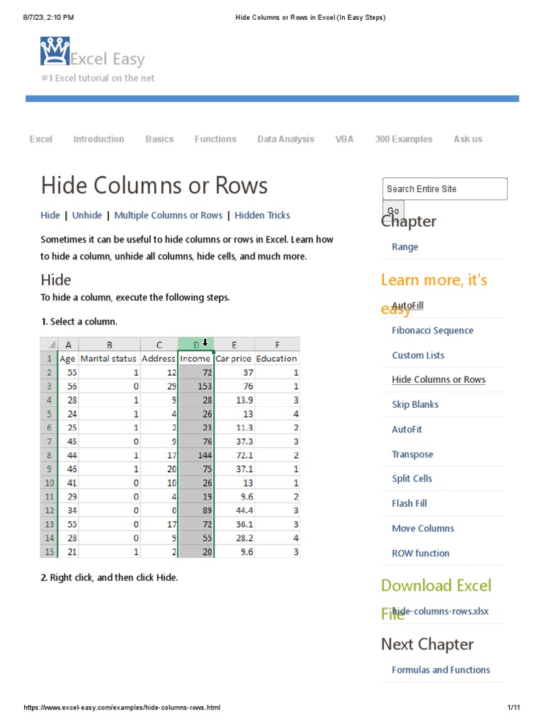 Hiding Rows and Columns in Excel | PDF | Microsoft Excel | Computing