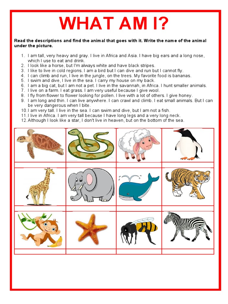 Animals What Am I Reading Comprehension Exercises - 134628 | PDF