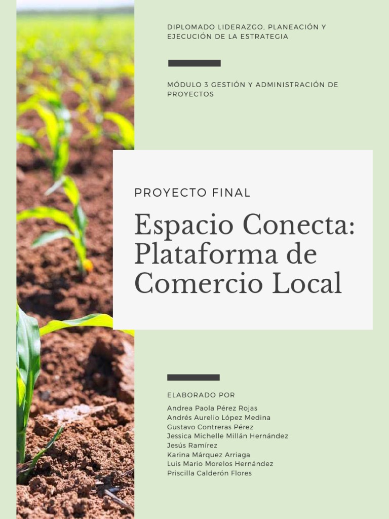 Proyecto Final Espacio Conecta | PDF | Logística | Marketing