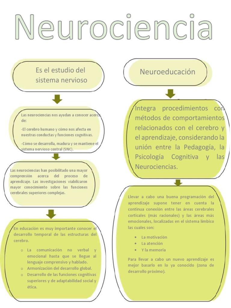 Mapa Conceptual Neurociencia | PDF