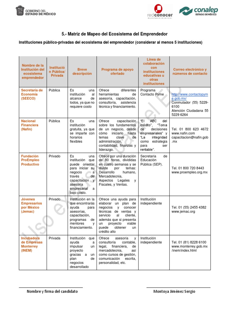4 Matriz de Mapeo Del Ecosistema Del Emprend | PDF