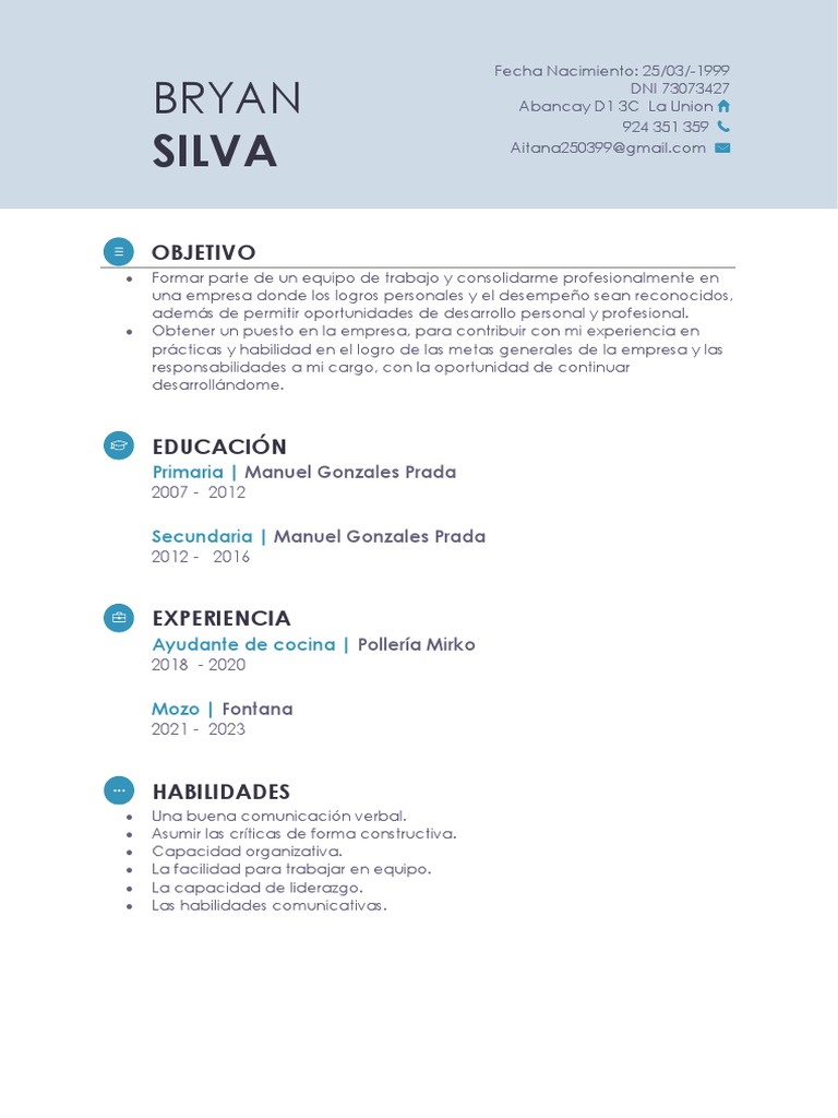CV Bryan Silva | PDF