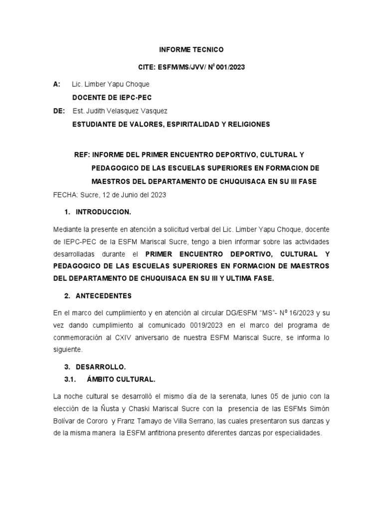 Informe Tecnico | PDF