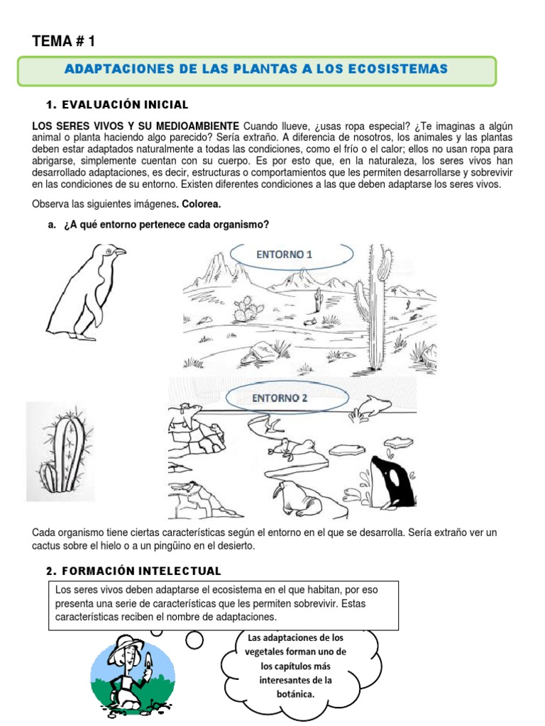 Las Adaptaciones Grado Quinto | PDF | Entorno natural | Plantas