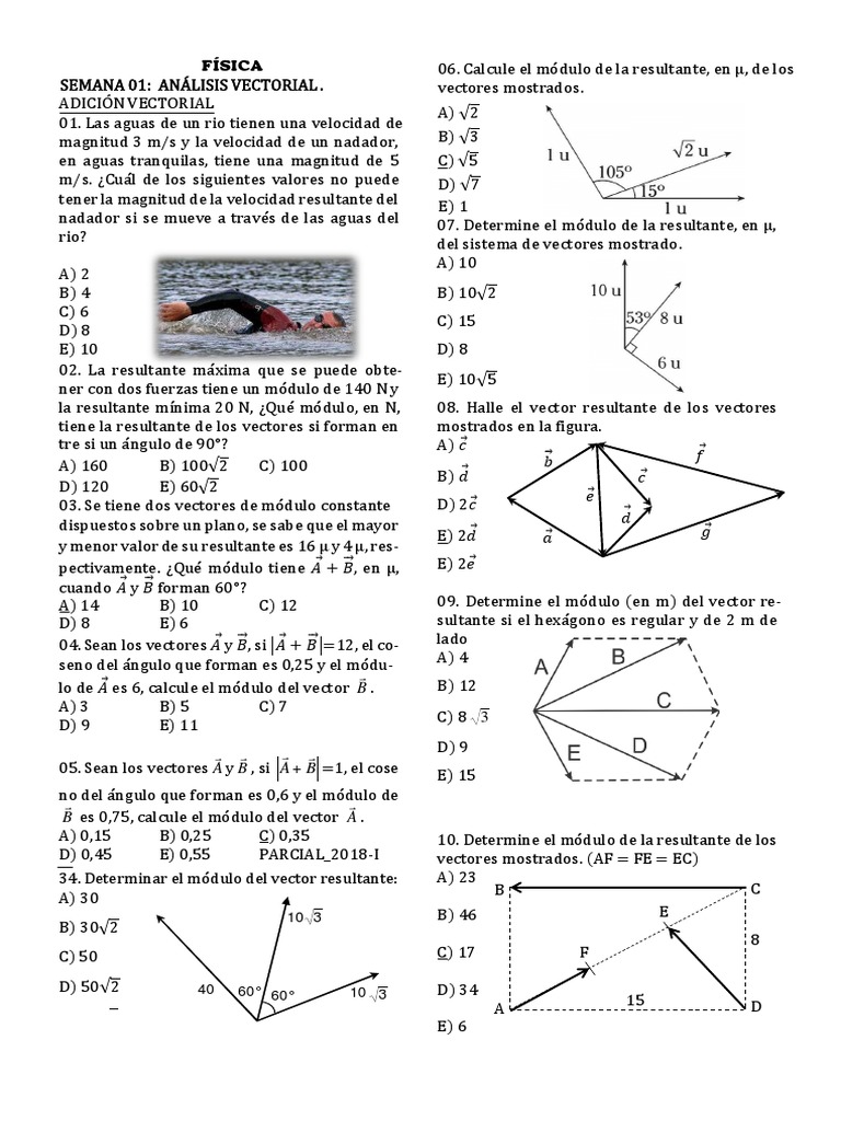 Fisica 01-Vectores | PDF | Velocidad | Vector Euclidiano
