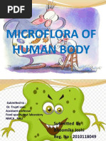Animation Pitch Bible | PDF | Animation